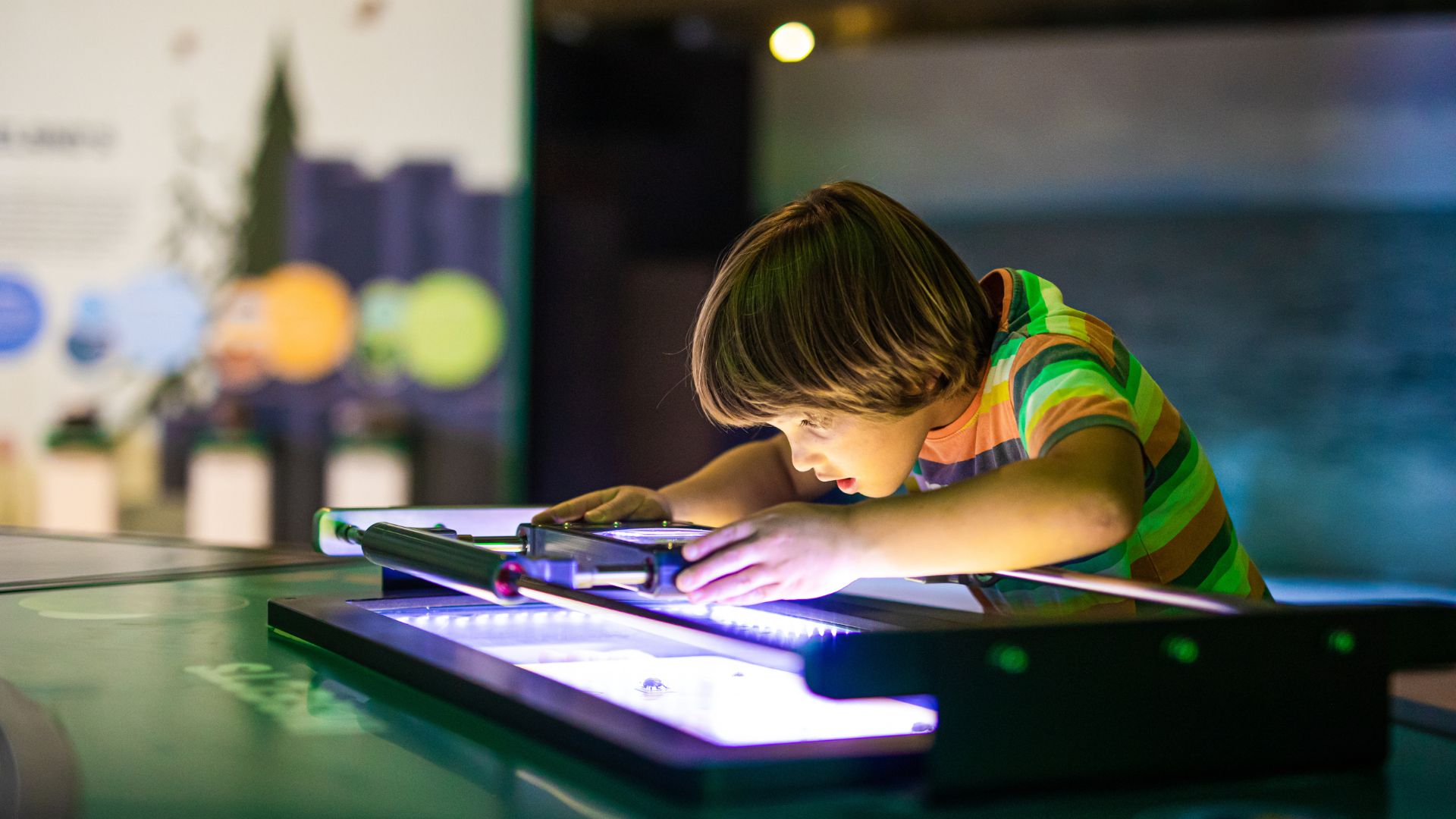 Top 10 Family Fun Attractions in Belfast | Family Friendly, Things To ...